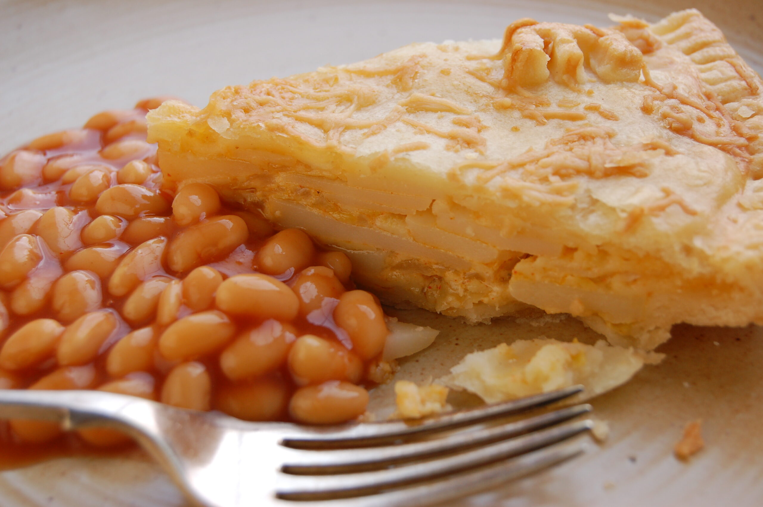 Winter warmer in February's kitchen - Martin Fish - simply gardening