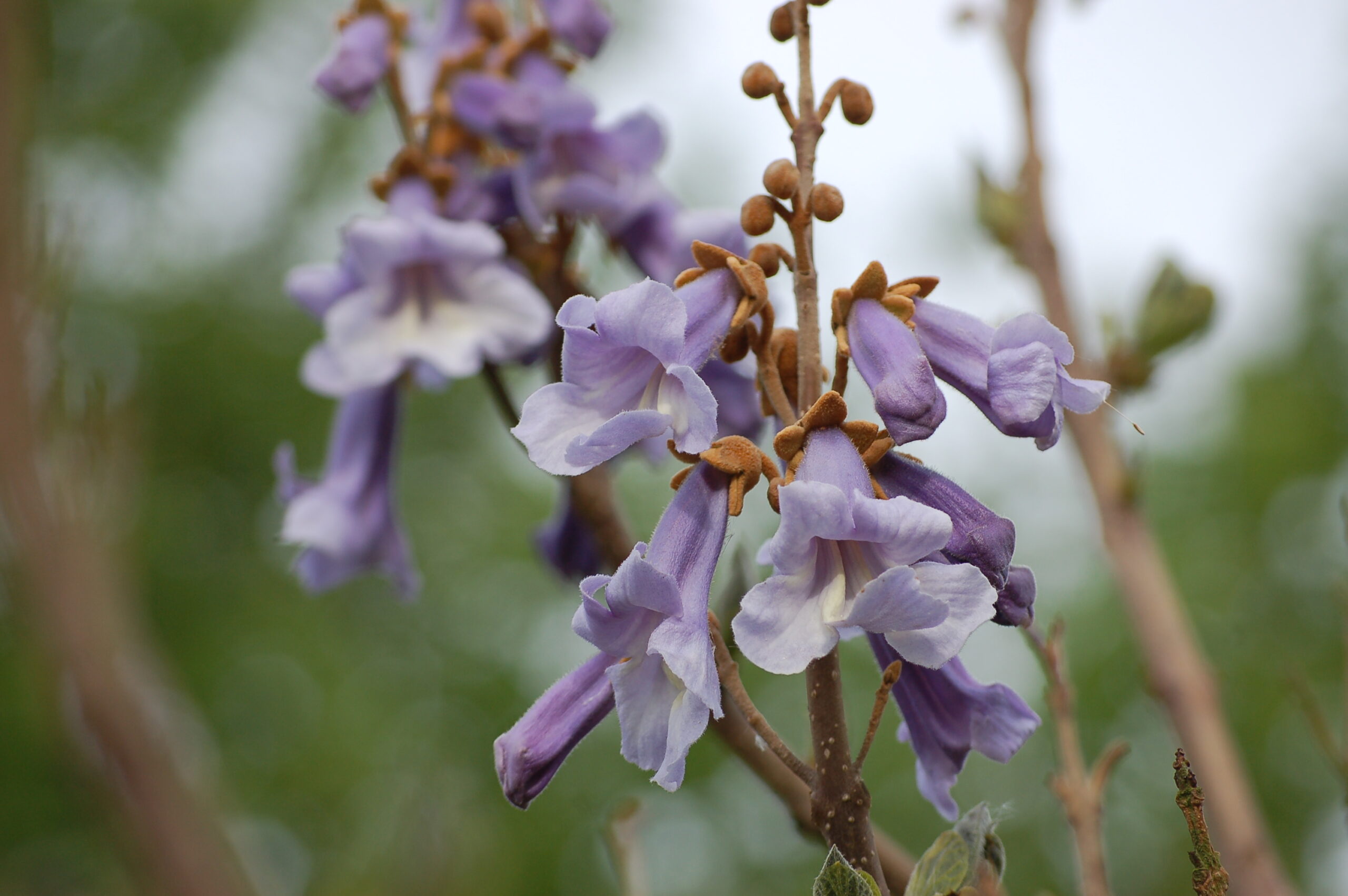 A good start to the season! - Martin Fish - simply gardening