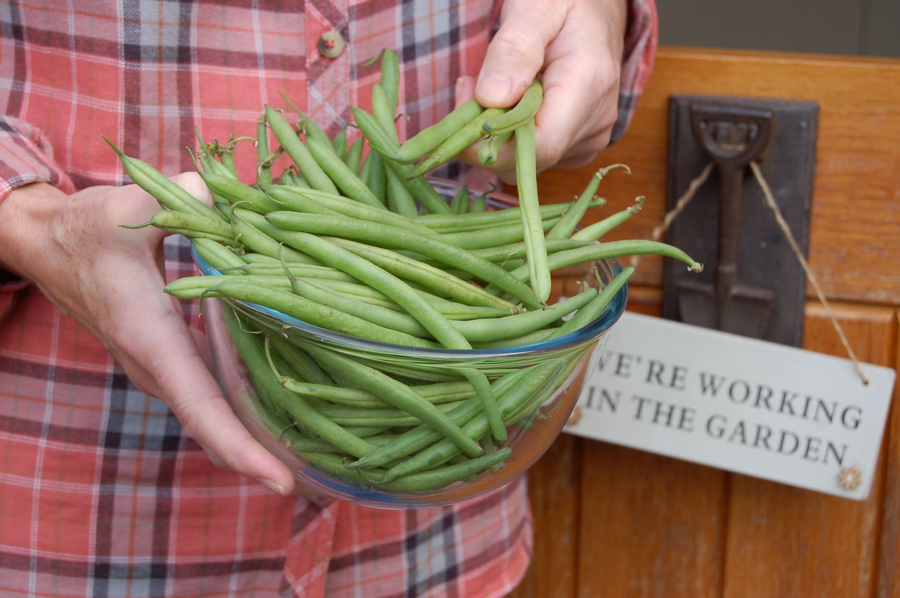 Show cooking in July's kitchen - French beans and courgettes in a herby ...