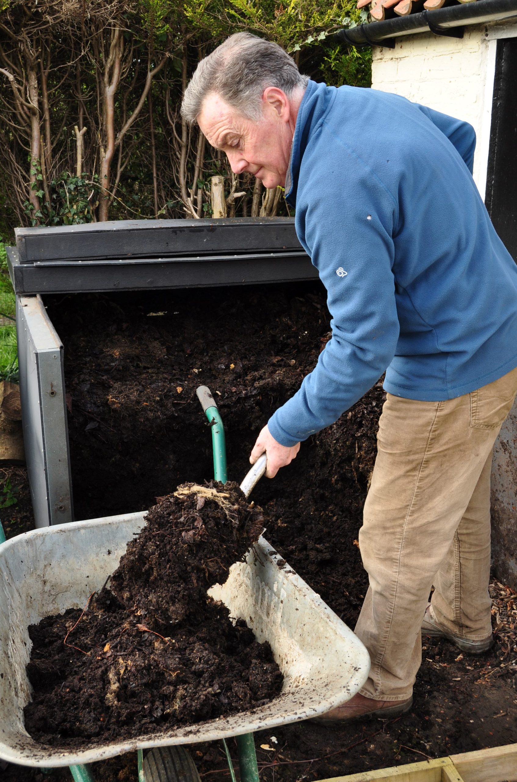 Colour for November's garden - Martin Fish - simply gardening